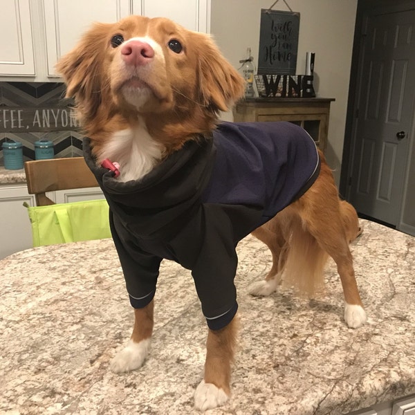 Beaded Fish Earrings, Sockeye Salmon Earrings, Rainbow Trout Earrings ...