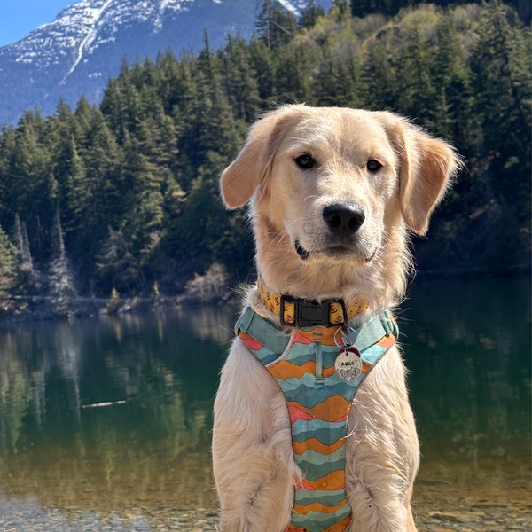 Lighthouse Dog Tag / Pet Name Tag / Dog ID Tag / Cat ID Tag / Pet ID ...