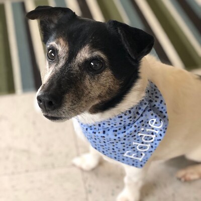 School Bus Drivet Hat Embroidered Bus Boss Hat Gift for - Etsy