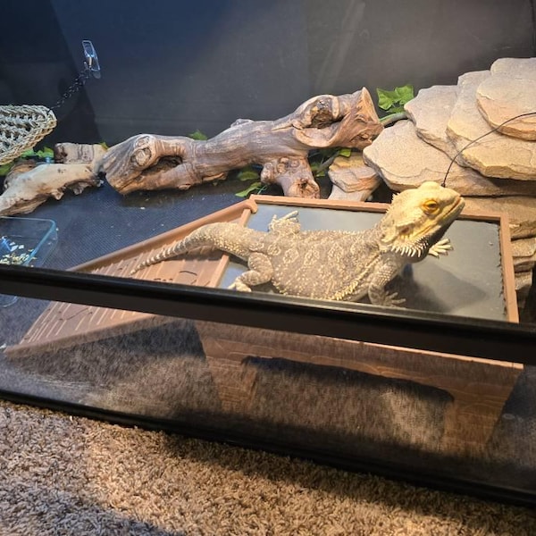 Aquarium Dome Tunnel | Fish Tank Gravel Hiding Spot/under-view Area - Etsy