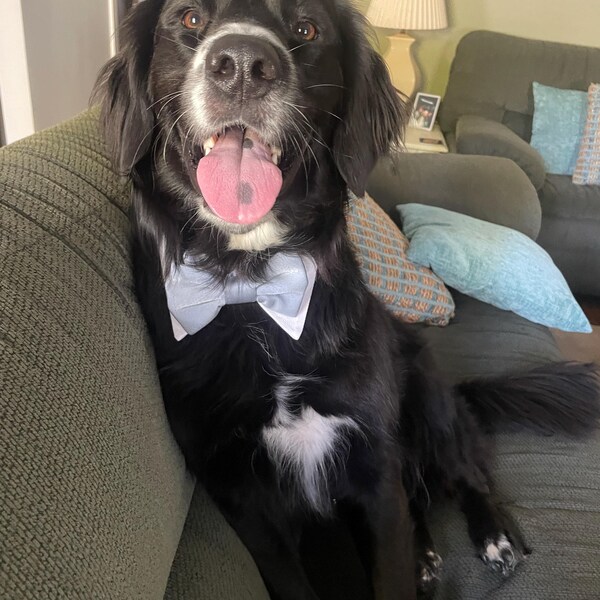 Custom Photo Patch for Ties, Bowties, Gifts, Tie Patch, Grandpa ...