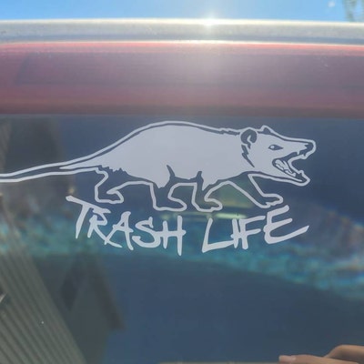 Trash Life Opossum Marsupial, Possum, Wildlife, Love, Cute, Roadkill ...