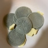 Octopus Corzetti Pasta Stamp Made in Fine Beech Wood From the Tuscan ...