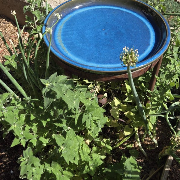 Contemporary Large Ceramic Planter - Indoor & Outdoor Pots | Speckled ...