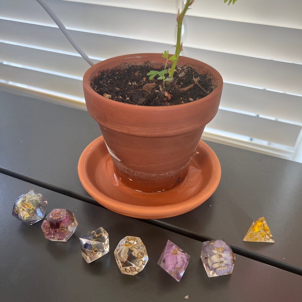 Forest Floor (REAL PLANTS!) Dice Set for Dungeons and Dragons Tabletop ...