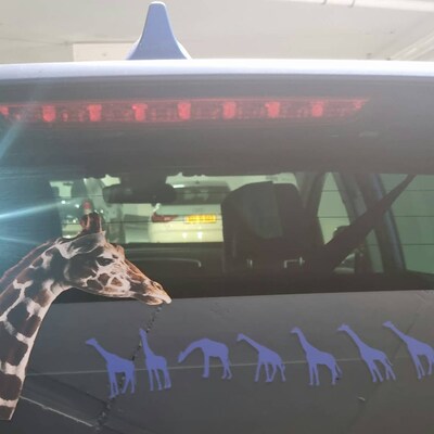 Schnauzer Car Sticker , Dog Car Decal, Schnauzer Decal, Car Decoration ...