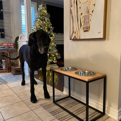 Elevated Dog Feeding Table for Large Size Dog / Raised Feeder for Big ...