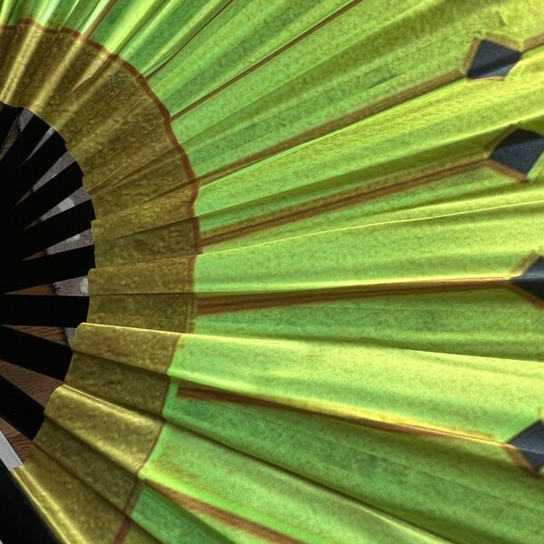 Ninja Star Hand Fan / Perfect for Avatar Kyoshi Warrior Cosplay / Loud ...