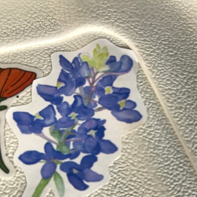 Bluebonnet Vinyl Sticker for Water Bottles and Laptops - Etsy