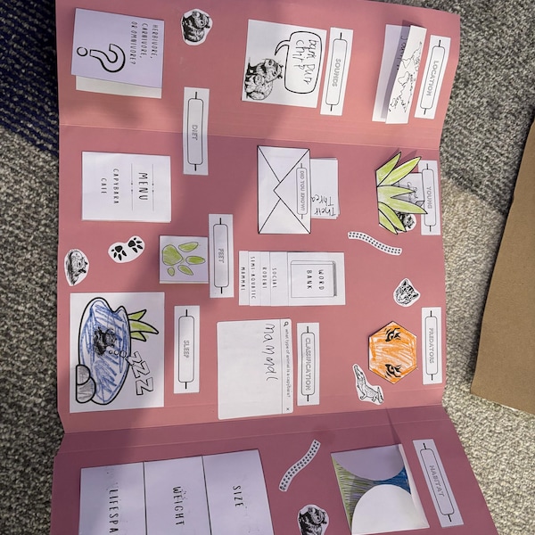 Panda Study Lapbook Download | Printable | Creative Activity ...