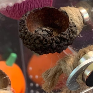 Jumping Spider Magnetic Acorn Ledge/hide classic Acorn, Flat Saucer ...