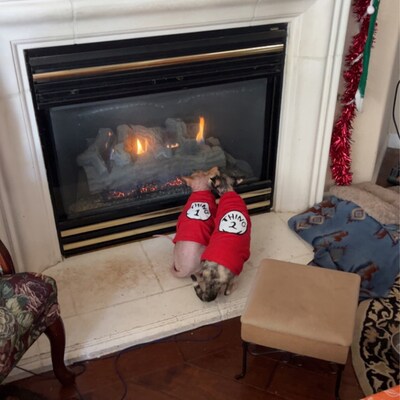 Matching Cat Tank Tops Funny Matching Cat Shirts, Matching Cat Outfit ...