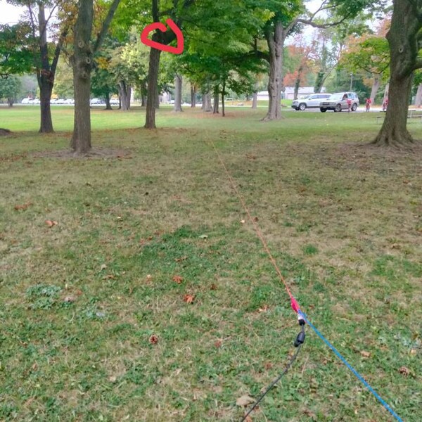 Mast Maestro Vertical/hamstick Dipole Mount - Etsy