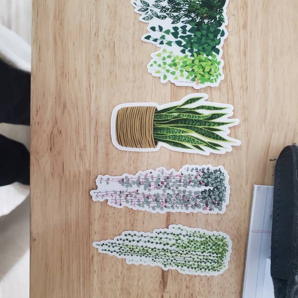 Living Walls, Plant Walls, Green Walls, Stickers, Plant Mom, Plant ...