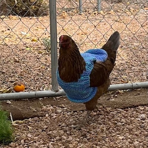 Knit Chicken Sweaters medium Weight Hen Clothing Poultry Accessories ...