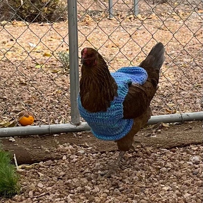 Knit Chicken Sweaters medium Weight Hen Clothing Poultry Accessories ...
