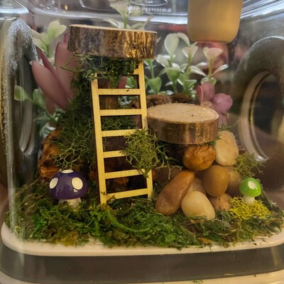 Jumping Spider Enclosure 5x5x9 Spider House Spider Tank - Etsy