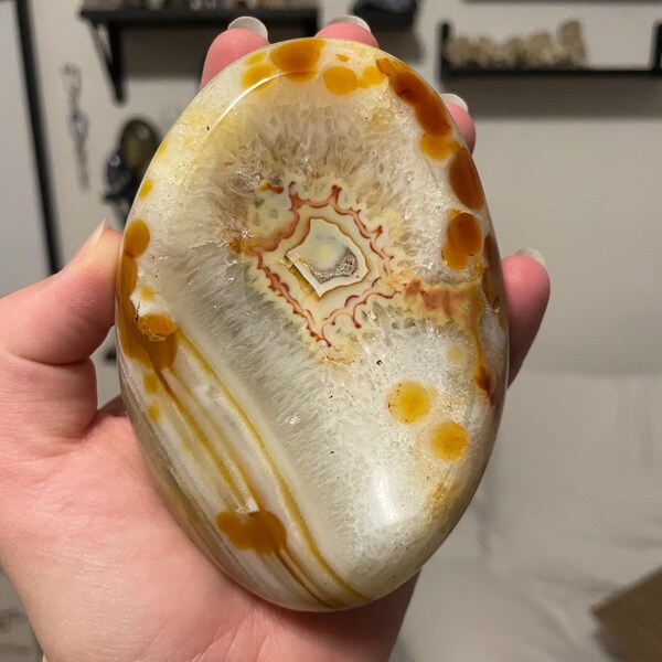 Ocean Jasper Dinosaur Skull Carving, Large T-rex Crystal Skull, Dino ...