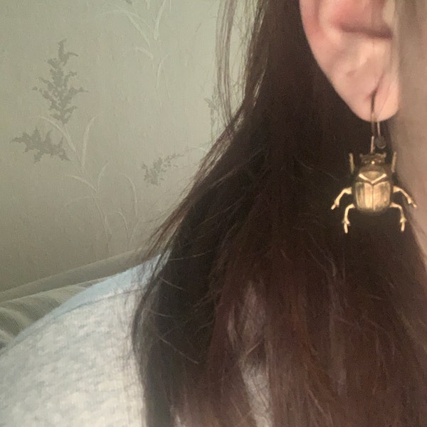 Beetle Earrings, Bug Earrings, Insect Earrings, Insect Jewelry, Bugs ...