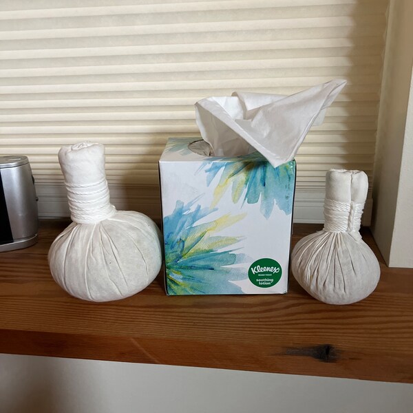 Isarn Acoustic Traditional Thai Phin (isan Lute) – 3-string Handmade ...