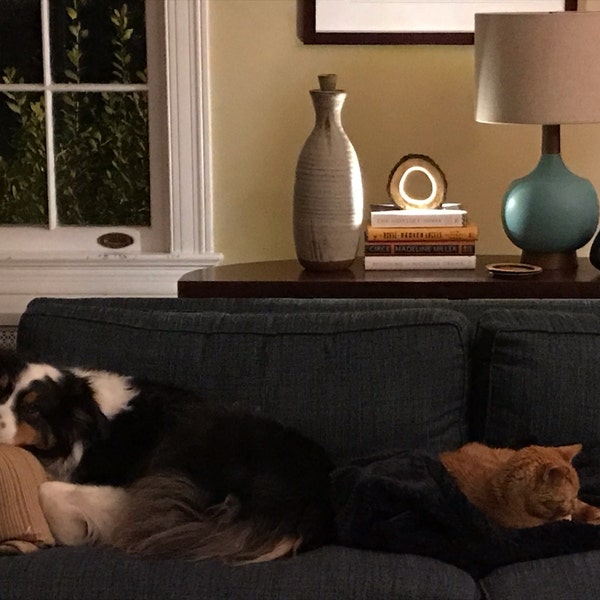 Small LED Log Light Table Lamp Desk Light Real Wooden Log Hollow ...