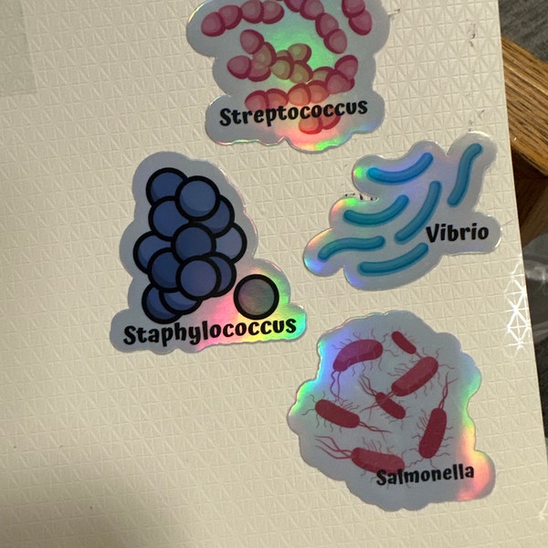 Types of Bacteria Holographic Stickers, Science Sticker, Infectious ...