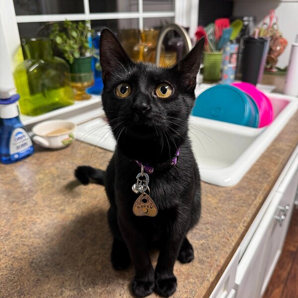 Personalized LED Light up Name Keychain USA Made Color Changing ...