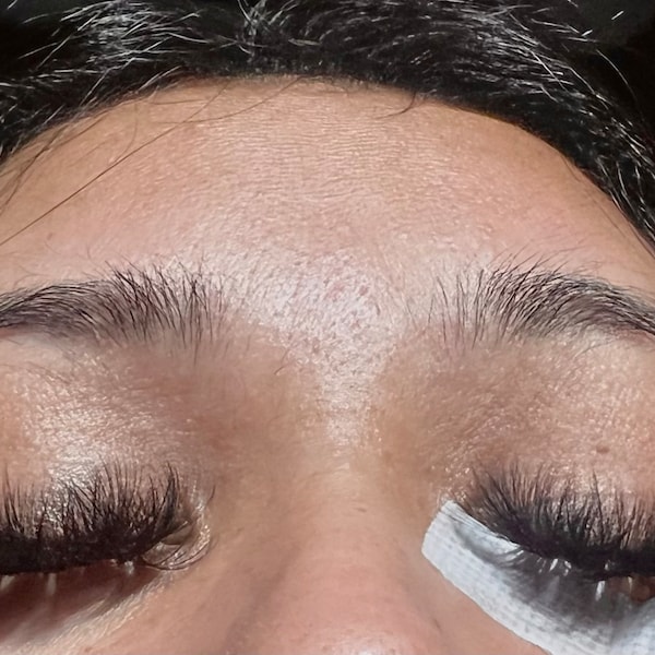 1000 Lash Fans. 12D, 10D, 9D, 8D, 7D, 6D, 5D, 4D, 3D Premade Volume ...