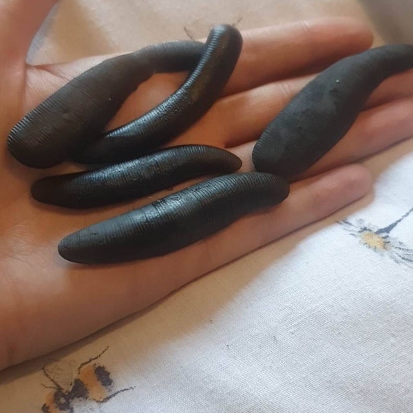 Larp Safe Rubber Leeches, Larp Medic, 5 Pack, Leach Healer, Plague ...