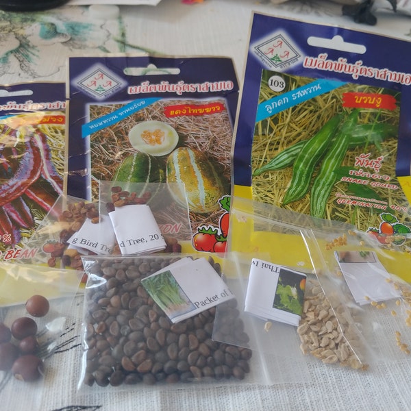 Thai Yard Long, Wing, Bush Bean Seeds,purple or Green - (VIGNA ...