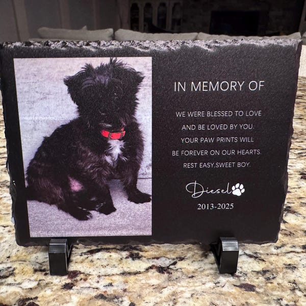 Personalized Dog Memorial Suncatcher, Custom Paw Design With Name and ...