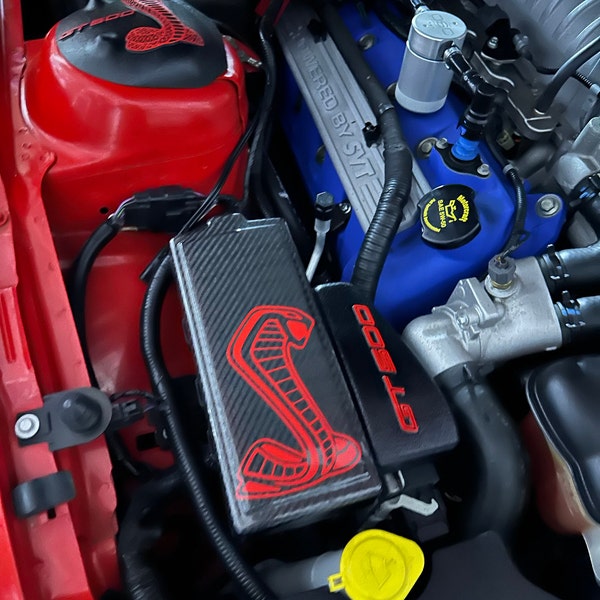 2011-2014 Ford Mustang Ecu Cover (multiple Logo and Color Options) - Etsy