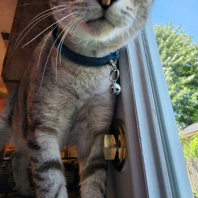 Cat Bell Upgrade for Cat Collars is One Half Inch Round With Ready to ...