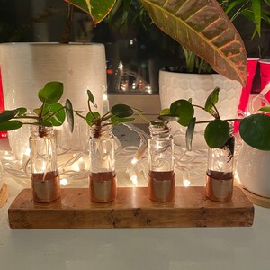 Copper Propagation Station Vessel Flower Buds Vase - Etsy