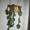Tiny Pothos Crochet Pattern Bundle Pothos Jade, Monstera and String of ...