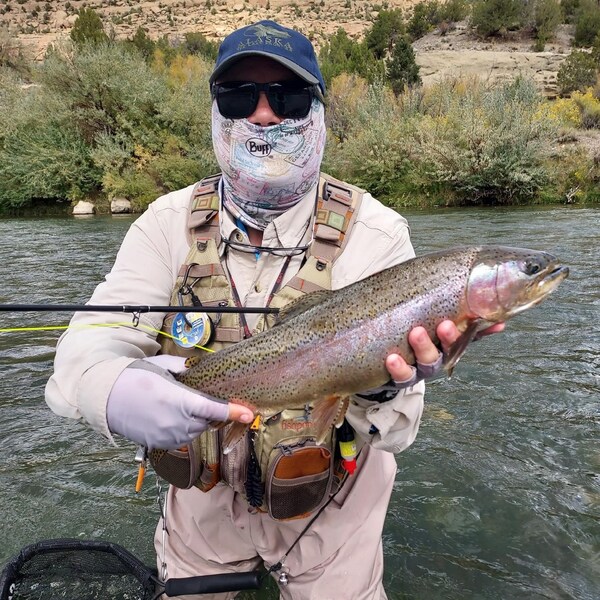 Dave's Hopper Fly Fishing Flies Choose Size Half Dozen (6) - Etsy