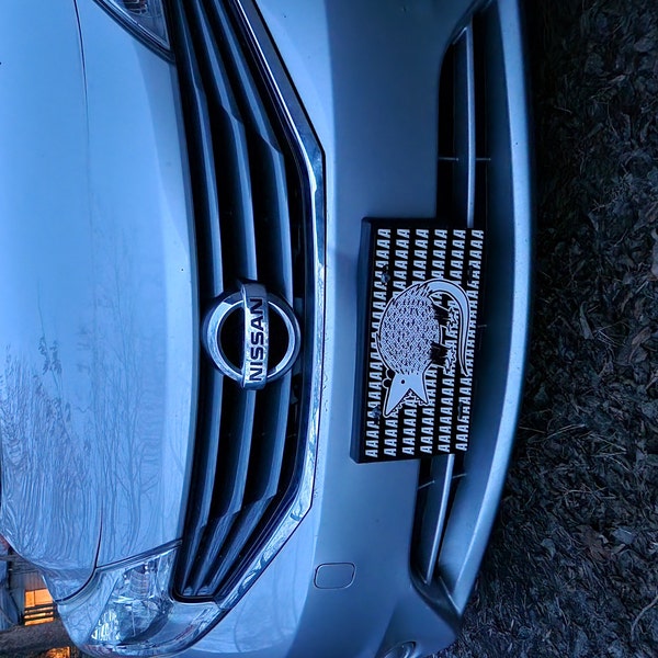 Opossum License Plate, Possum Car Decor, Funny Car Accessories for Men ...