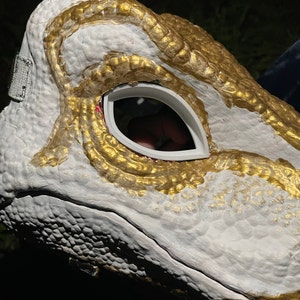 Raptor Mask Follow-me Eye Blanks - Etsy