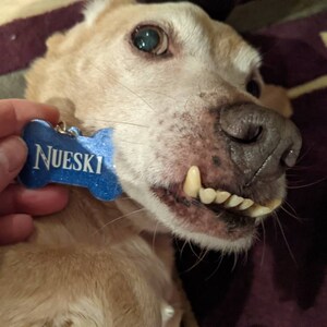 Gloomy, Moody Floral Seamless Flower Pattern, Digital Pattern, Repeat ...