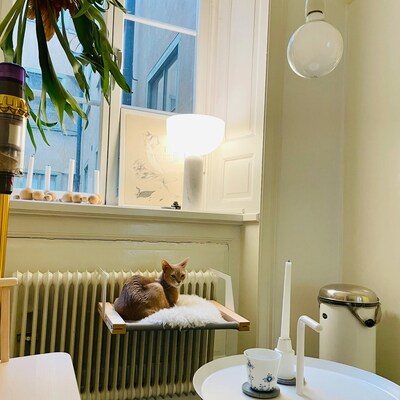 WOOZY Cat Radiator Hammock / Cat Bed - Etsy