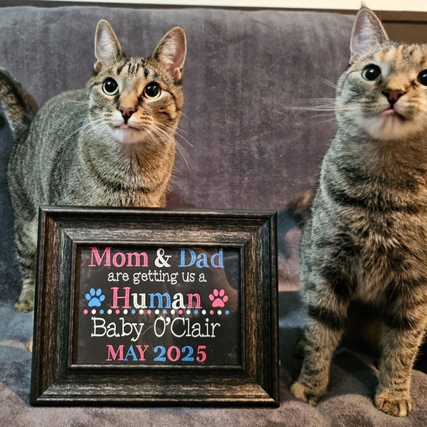 In This Library You Are... Positive Affirmations Printable Sign for ...