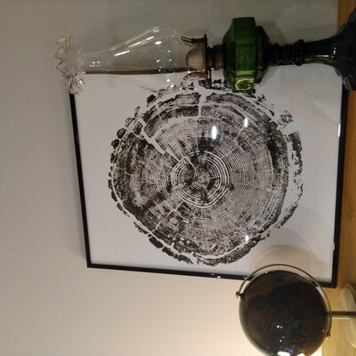 TREE RING ART Print, Tree Ring Print, Set of 6 Prints, Log Print Tree ...