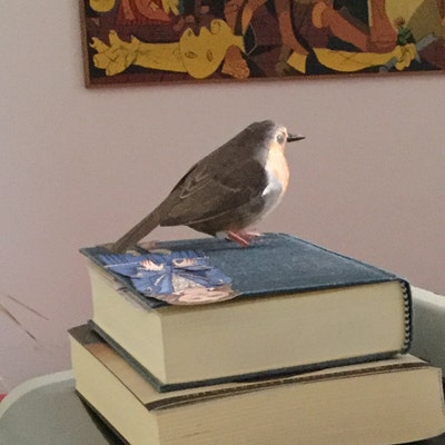 Template Papercraft Goldfinch in Flight - Etsy