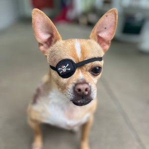 Custom Eye Patch for Dogs or Cats 100 % Cotton/ No Felt - Etsy