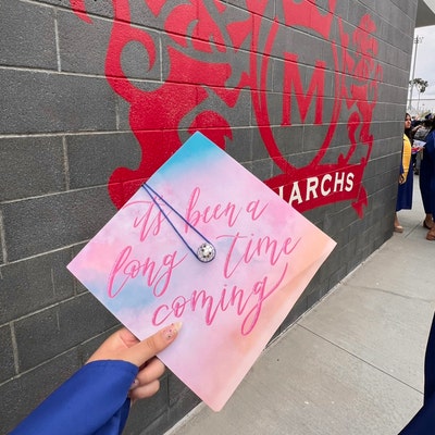 AKA Graduation Cap PRINTED Grad Cap Design Alpha Kappa Alpha Graduation ...