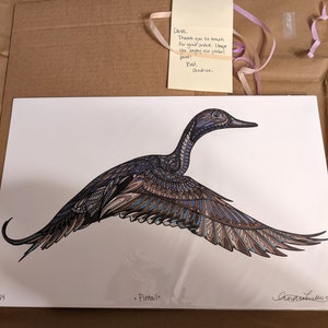 Mayfly Zentangle 3M Laminated Vinyl Decal | Etsy