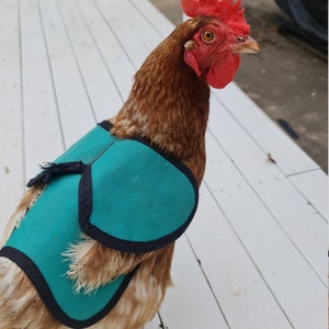 TURKEY SADDLE Adjustable Stag Protector Turkey Apron | Etsy