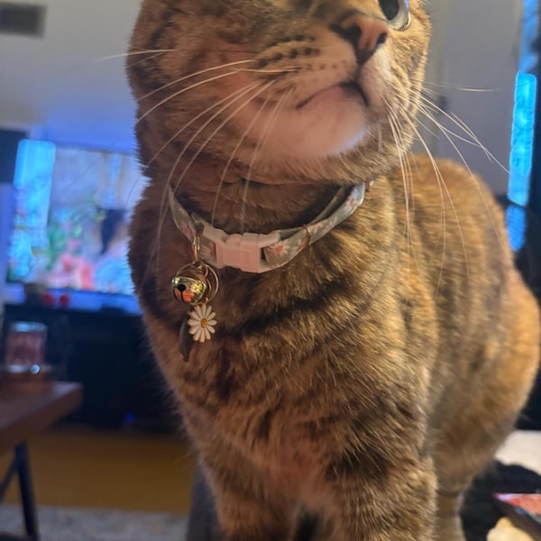 Pink Daisy Cat Collar, Y2k Floral Cat Collar Breakaway, Cute Girl ...