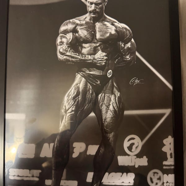 Cbum Chris Bumstead Fitness Motivation Rolled Posters, Gym Wall Art ...