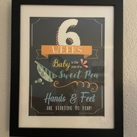 Blue Baby Tracker | Printable Baby Daily Log | Feed Sleep Diaper Chart ...